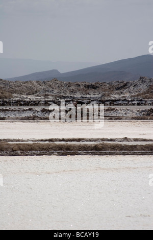 Elidar, Afar region, salt flats near Eritrean border in Ethiopia Stock ...