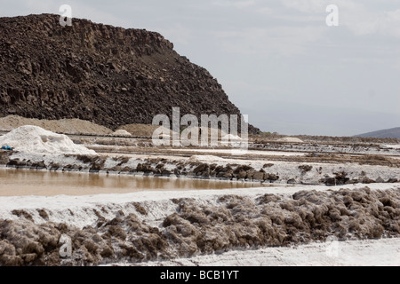 Elidar, Afar region, salt flats near Eritrean border in Ethiopia Stock ...