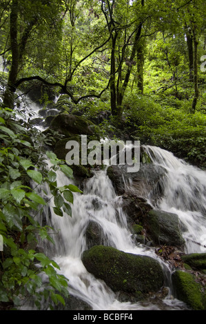 Bridge Langtang Valley Nepal Himalayas Stock Photo - Alamy