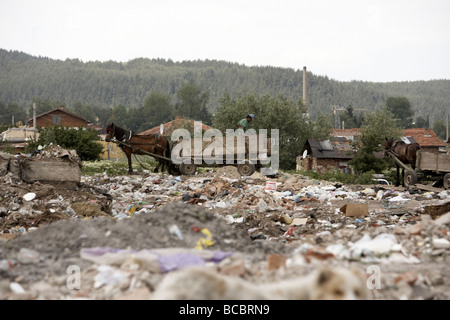 Scavenging for rubbish using a horse and cart Samokov Bulgaria Stock ...