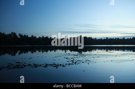 The coastal village of Alappad Panchayat Kerala India Stock Photo - Alamy