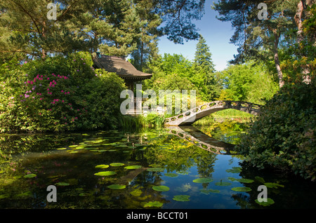 The Japanese Garden at Tatton Park, Near Knutsford, Cheshire, England ...