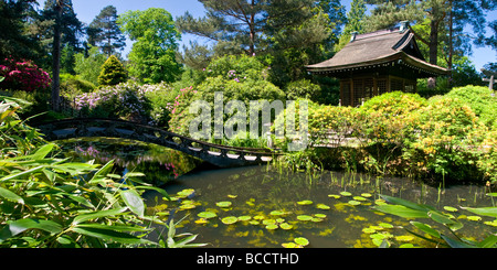 UK, England, Cheshire, Knutsford, Tatton Hall, Nutcracker themed ...