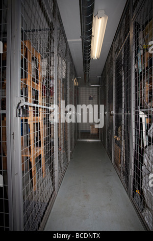 Storage lockers in basement , Finland Stock Photo - Alamy