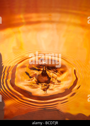 Water drop falls on water surface Stock Photo - Alamy