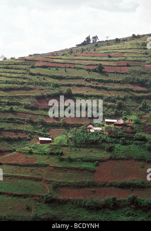 Terracing for small scale farming in hilly country near Kabale in south ...