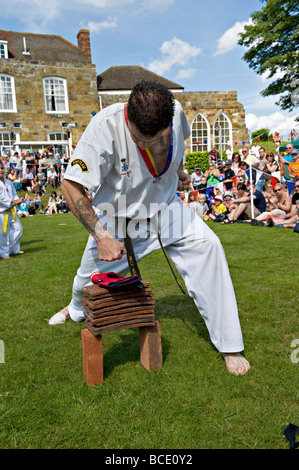 man breaking tiles Stock Photo - Alamy