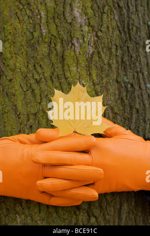 to lock hands, Orange glove, green tree, yellow leaf, autumn Stock ...