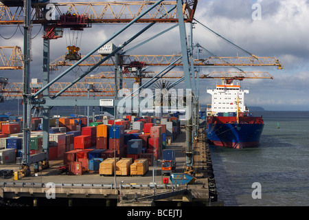 Belfast Docks the loading of a container ship MSC side view showing the ...