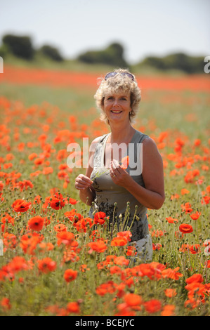 Poppy field just north of Brighton at Falmer in East Sussex England UK ...