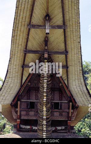 Indonesia, Sulawesi island, Toraja country, Tana Toraja, pigs for ...