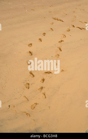 Kids Footprints in the Sand Stock Photo - Alamy