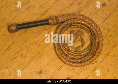 Coiled leather Bullwhip Stock Photo - Alamy