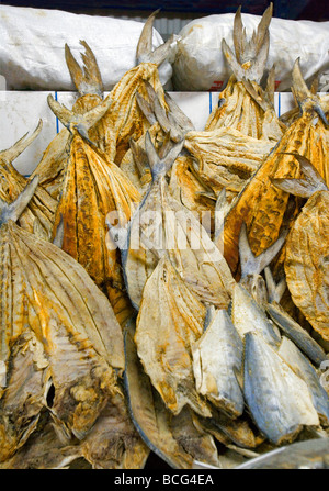 Dried fish in Deira fish market souk, Dubai, United Arab Emirates UAE ...
