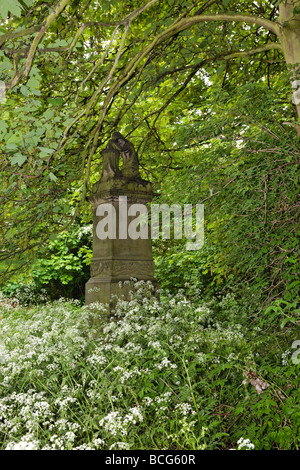 Victorian grave, Spring Bank West General Cemetery, Kingston upon Hull ...