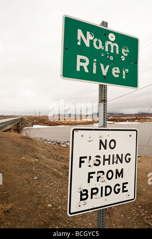 Seward Peninsula, Nome River, Nome, Alaska, United States, Bombus ...