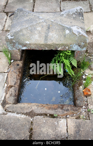 UK, England, Derbyshire, Eyam, Mompesson’s Well, old packhorse drinking ...