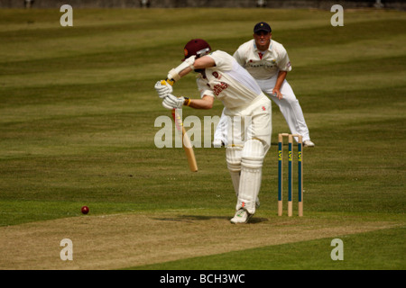 County Championship Cricket Stock Photo - Alamy