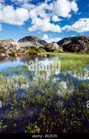 Innominate Tarn On Haystacks High Above Buttermere With 'Great Gable ...