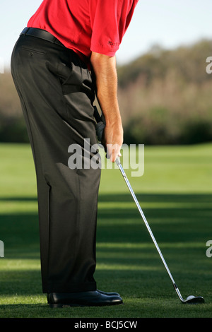 Golfer at address position to golf ball Stock Photo - Alamy