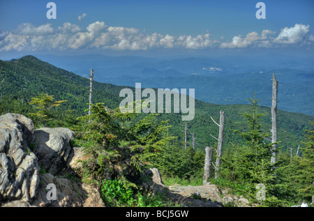 view from Mount Mitchell State Park in North Carolina, USA highest peak ...