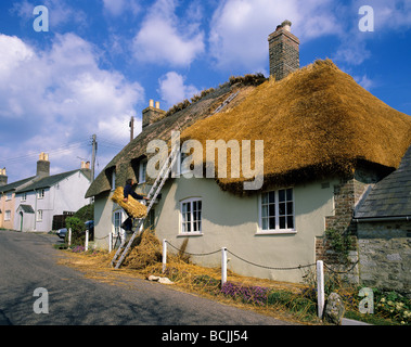 Lower Bockhampton - Thatcher at work in a Dorset village Stock Photo ...