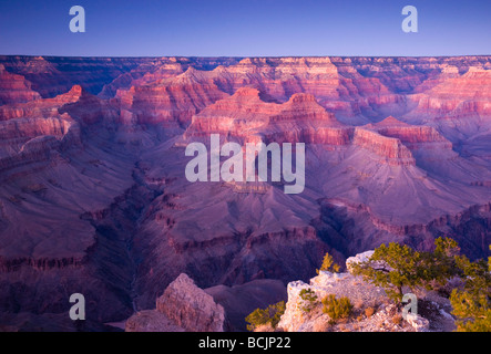 View from Pima Point into the Grand Canyon, canyon landscape, eroded ...