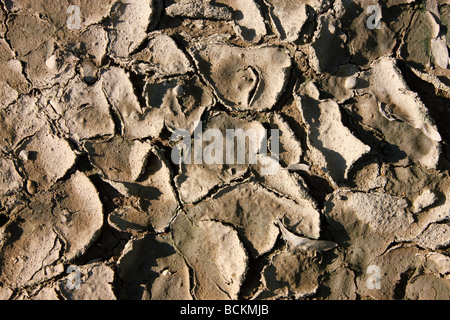 Clods of soil pattern background Stock Photo - Alamy