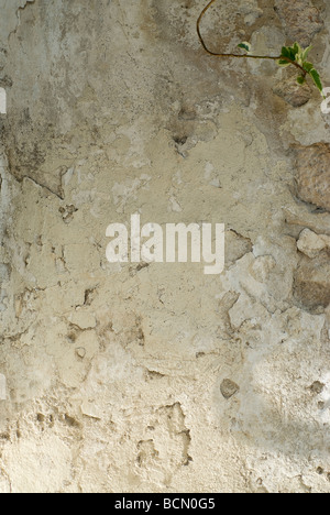 External wall in bad condition Stock Photo - Alamy