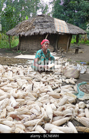 Ari girl, Lower Omo Valley, Ethiopia, Africa Stock Photo - Alamy