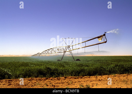 Libya, Sahara desert, irrigation system Stock Photo - Alamy