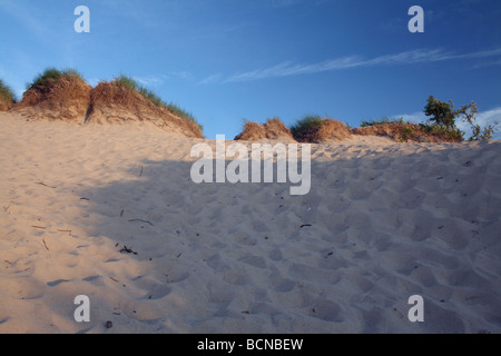 Sand Dune, Dunes Beach, Pinery Provincial Park, Ontario Stock Photo - Alamy