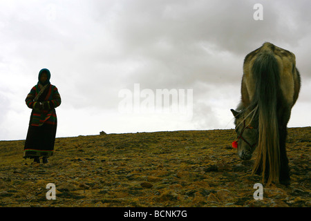 Old Tibetan couple with their horse, Tibet Autonomous Region, China ...