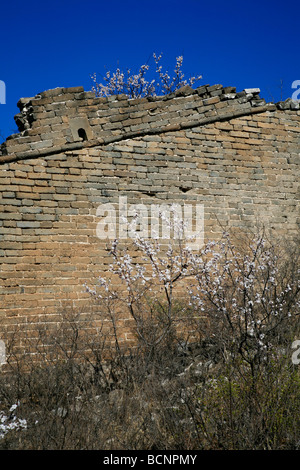 Damaged wall in spring, Jinshanling Great Wall, Hebei Province, China ...