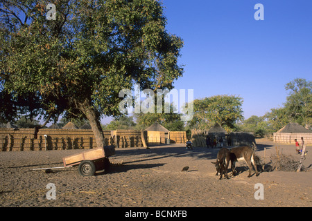 Africa. Botswana. Shakawe. Village Stock Photo - Alamy
