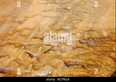 Shallow water flow upon giant rock, Baishuiyang, Mandarin Duck Rive ...