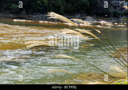 Baishuiyang, Mandarin Duck Rive Scenic Park, Pingnan, Ningde, Fujian ...