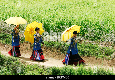 Yi Minority young women wearing elaborate festive costume during Torch ...