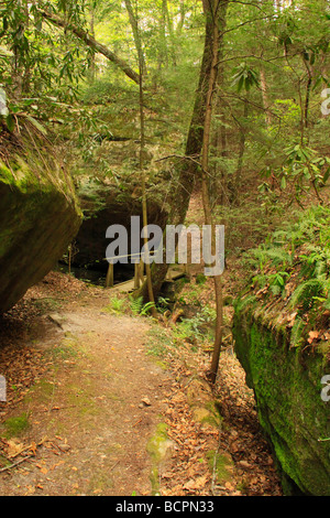 Stone pathway Hemlock Garden Preserve and Trail Pine Mountain State ...