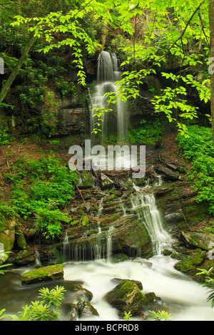 A creek with a small cascading waterfall with splashing water flowing ...