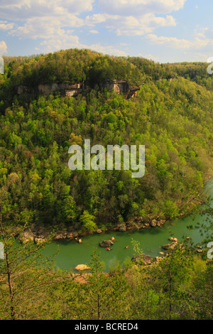 Devil s Jump Overlook Canoers and kayakers on Cumberland River Big ...