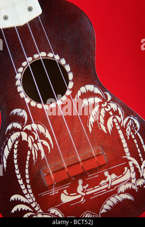 Vintage Ukulele Musical Instrument Close Up Angles Strings Body ...