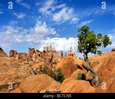 Devils Garden Arches National Park Stock Photo - Alamy