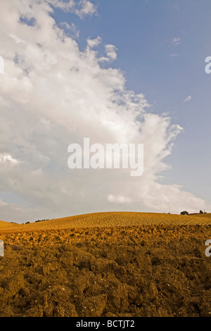 Landscape surroundings of Recanati Macerata Italy Stock Photo - Alamy