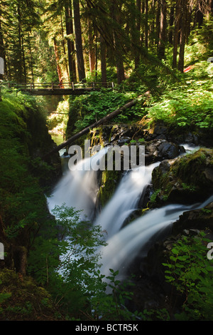 Photo of Sol Duc Water falls in Olympic national park, Washington Stock ...