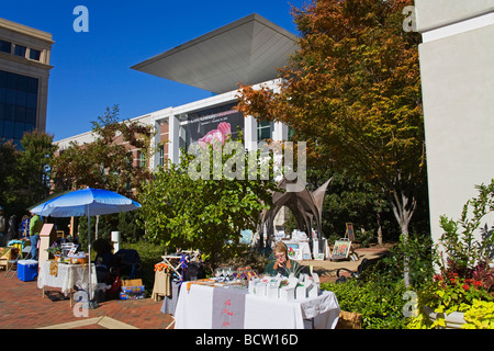 Columbia Museum of Art South Carolina USA Stock Photo: 79975678 - Alamy