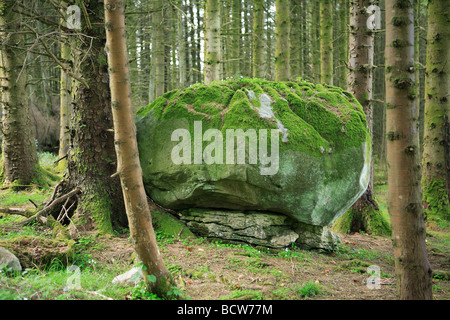 Large rock in the Burren Forest Co. Cavan. Ireland Stock Photo - Alamy
