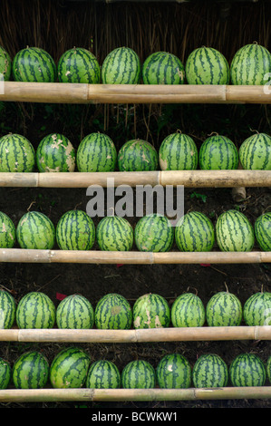 Roadside stall selling watermelons Stock Photo - Alamy
