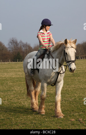 12 year old girl riding a grey Irish Draught horse Stock Photo - Alamy