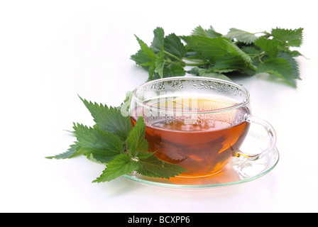 Brennessel nettle 05 Stock Photo - Alamy